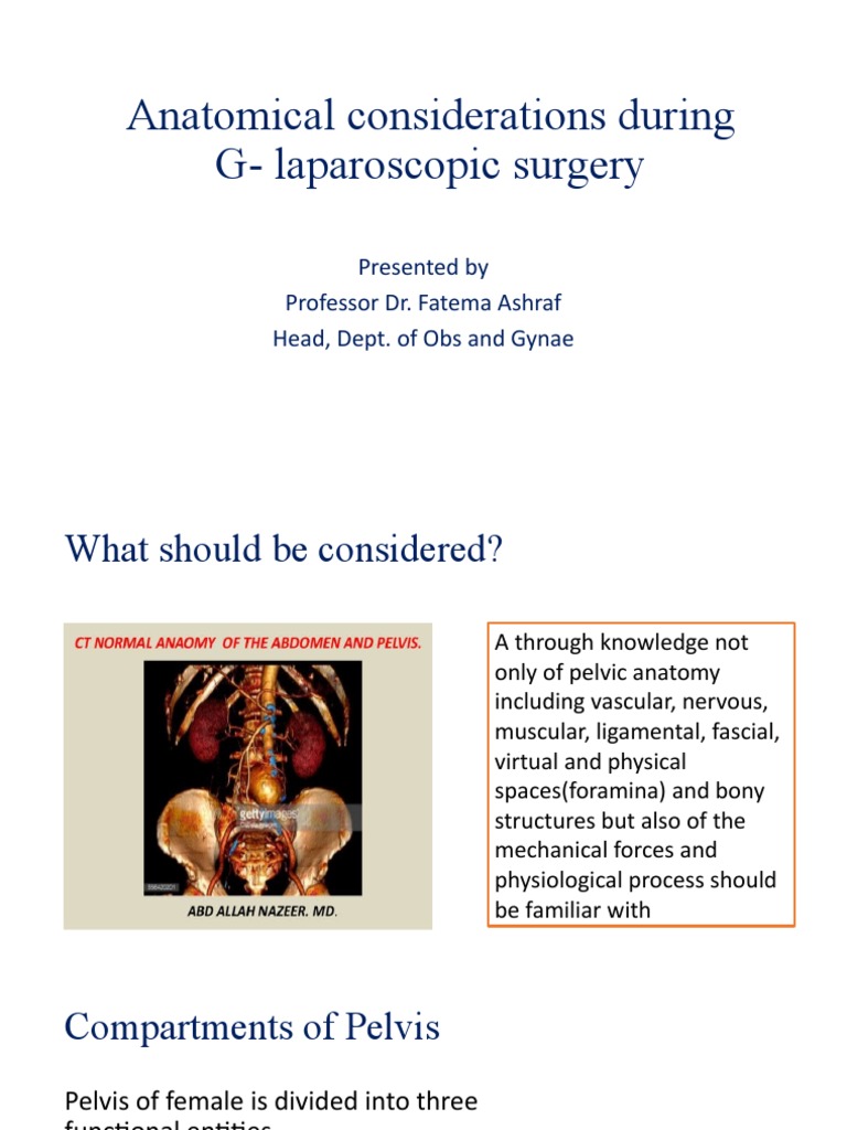Anatomical Considerations During G-Laparoscopic Surgery | PDF | Uterus ...
