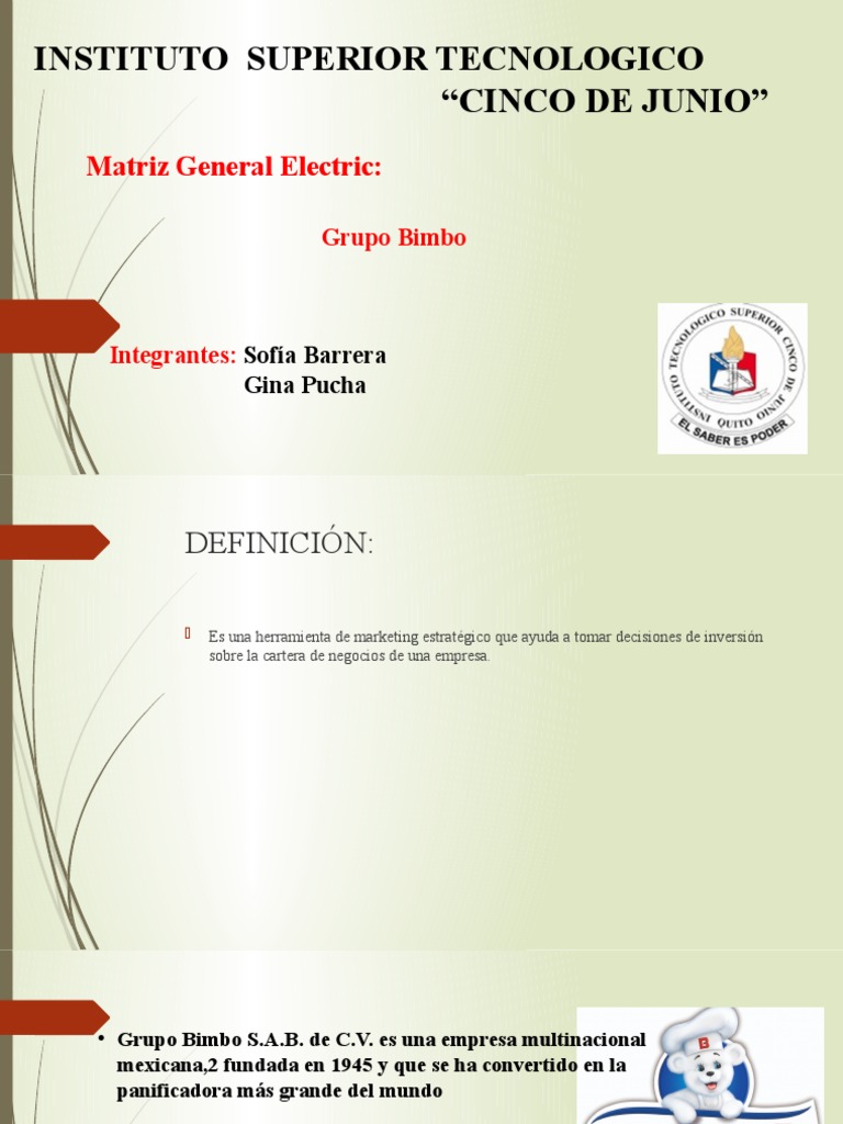 Matriz General Electric | PDF | Business | Economias