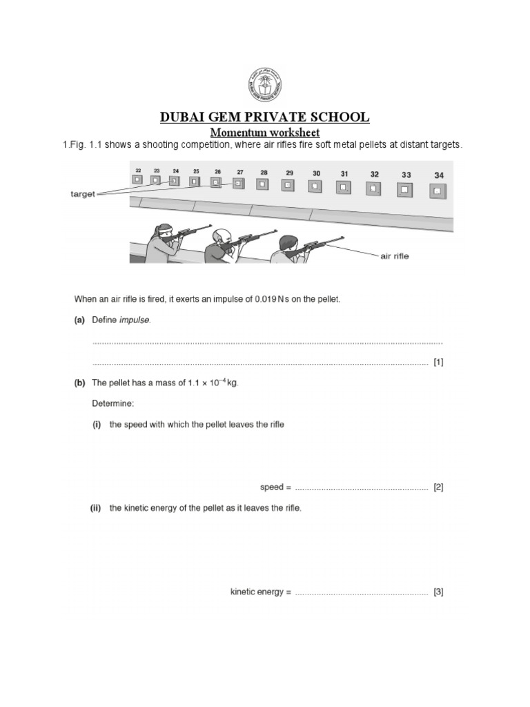 Momentum Worksheet | PDF