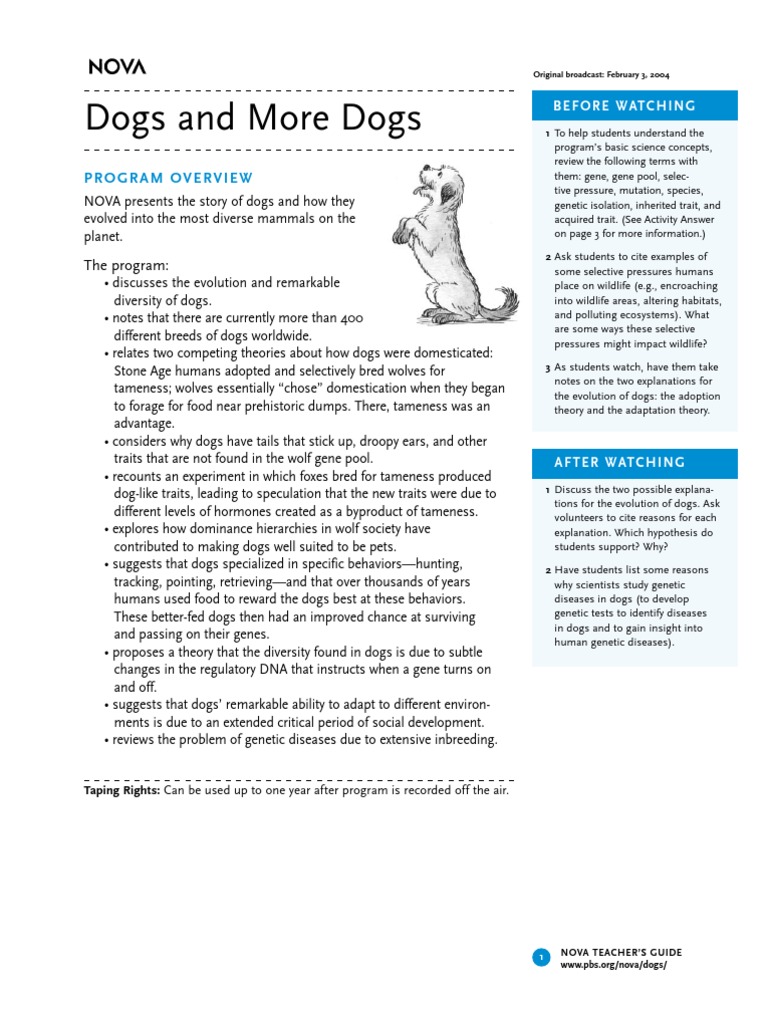 3103 Dogs | PDF