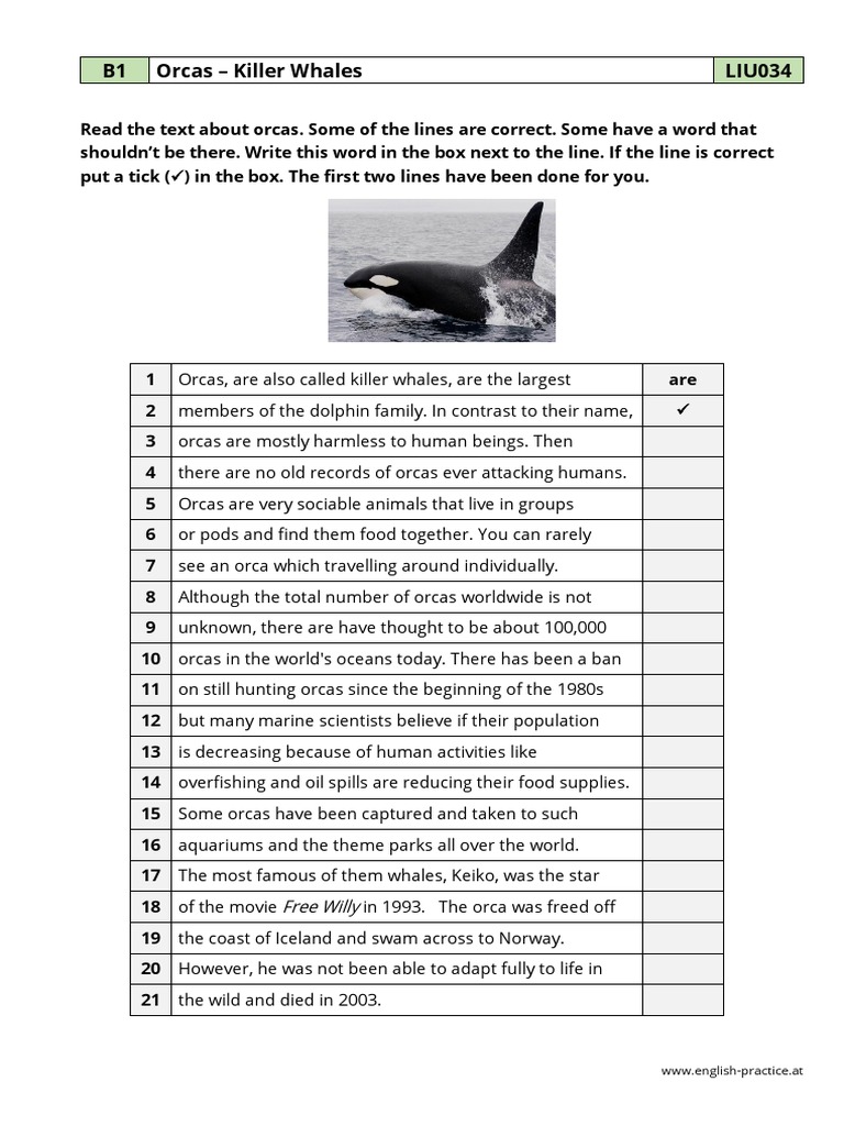 Orcas: Facts and Conservation Issues | PDF