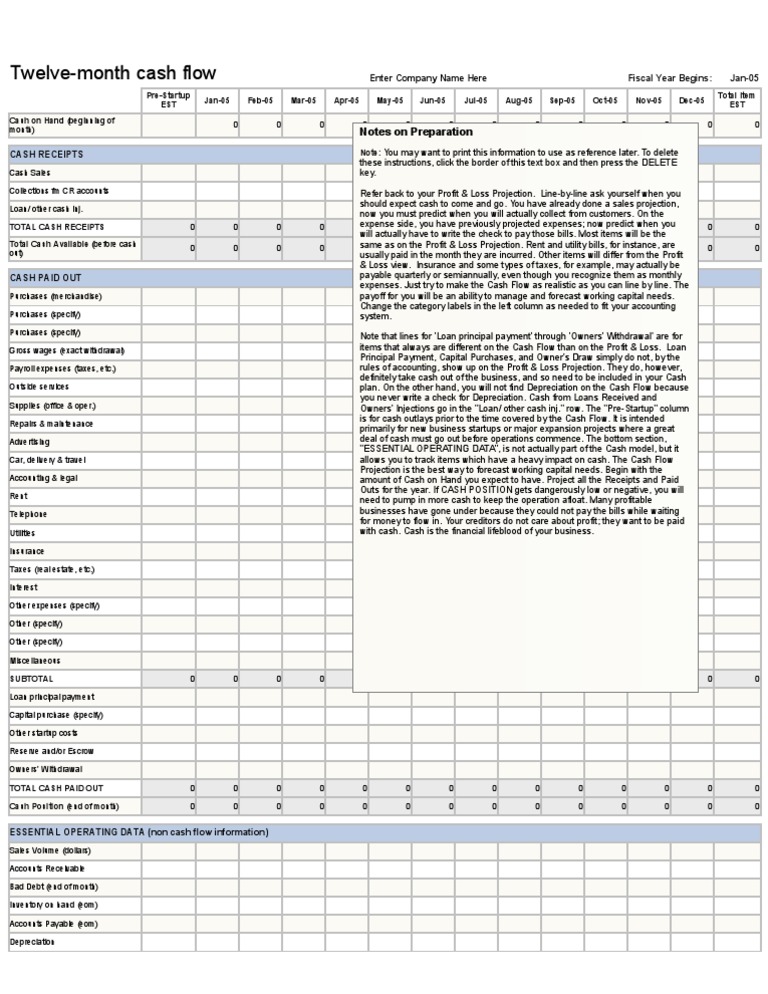 12 Month Cash Flow Statement | PDF | Expense | Receipt
