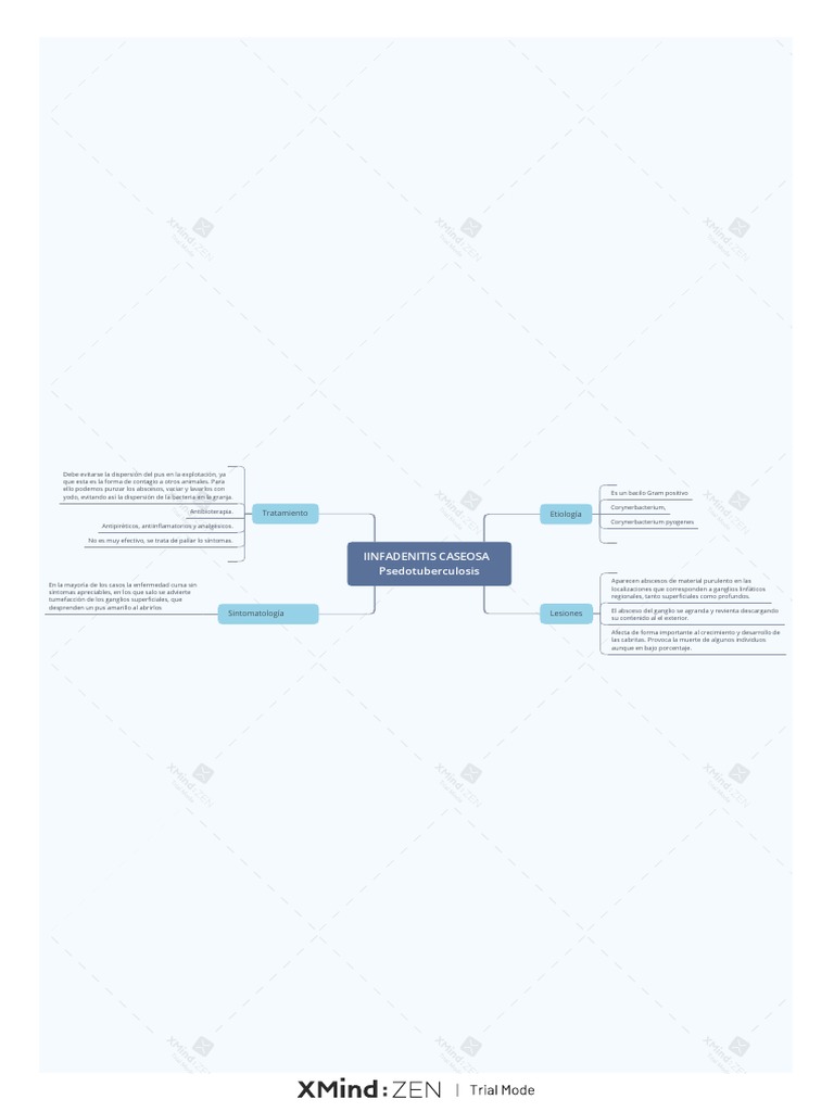 lINFADENITIS CASEOSA Psedotuberculosis | PDF | Microbiología | Rtt
