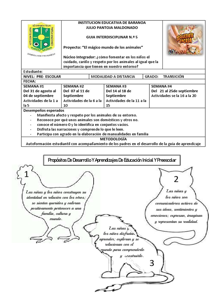 GUIA PROYECTO Los Animales Semana 1 | PDF | Educación de la primera ...