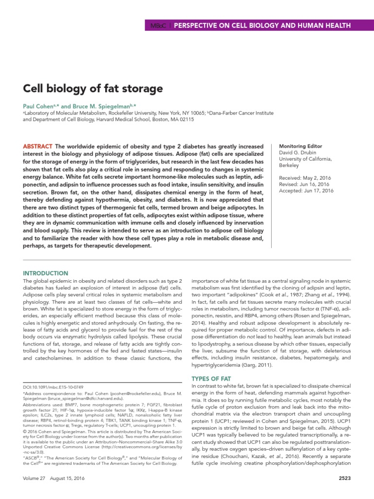 Cell Biology of Fat Storage | PDF | Adipose Tissue | Adipocyte