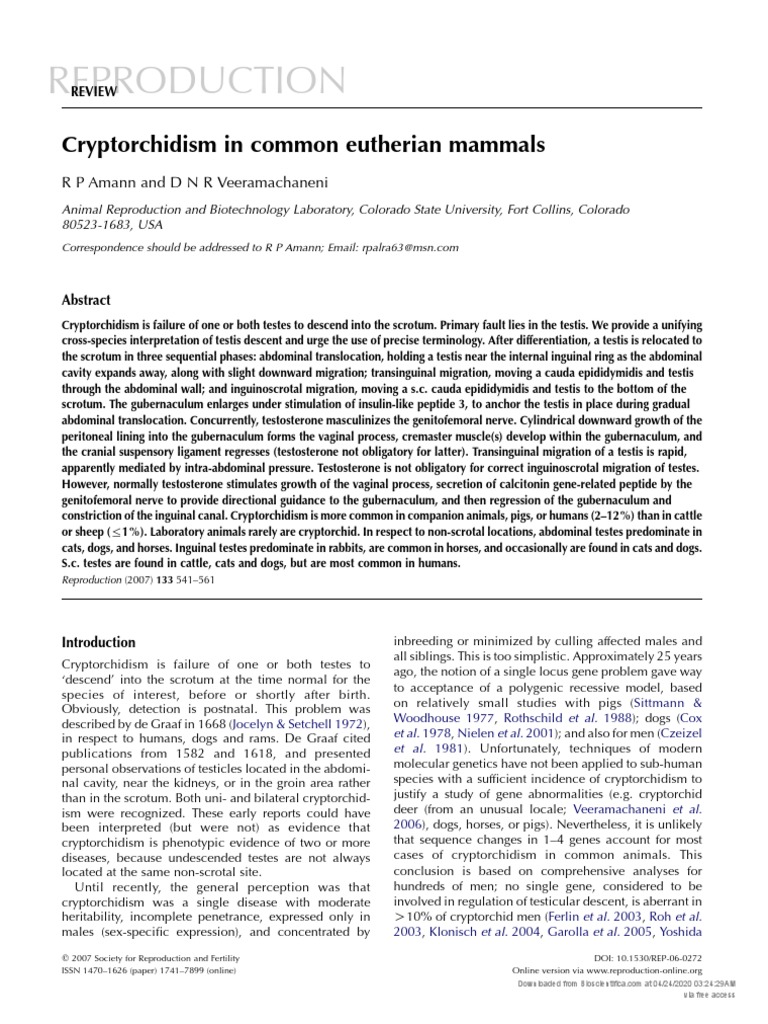 Cryptorchidism in Common Eutherian Mammals | PDF | Testicle ...