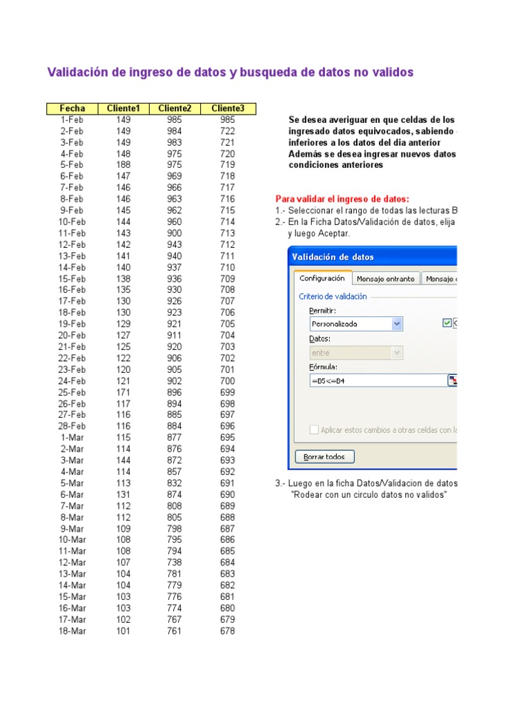 08 - Validacion de Datos | PDF
