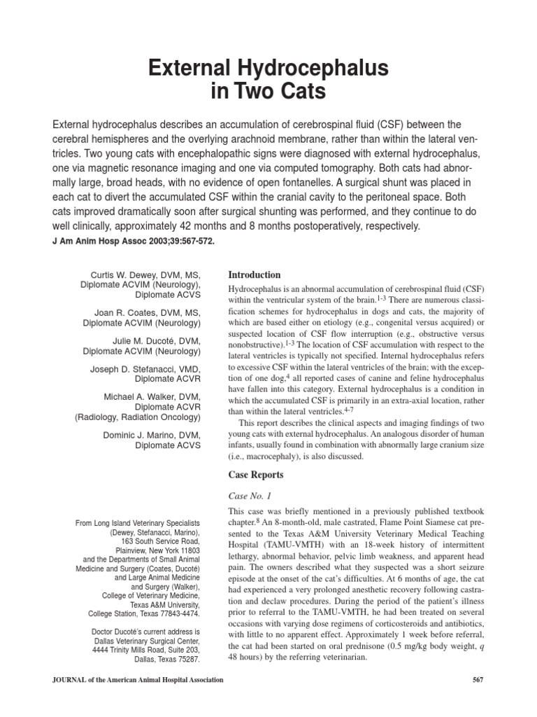 External Hydrocephalus | PDF | Cerebrospinal Fluid | Ct Scan