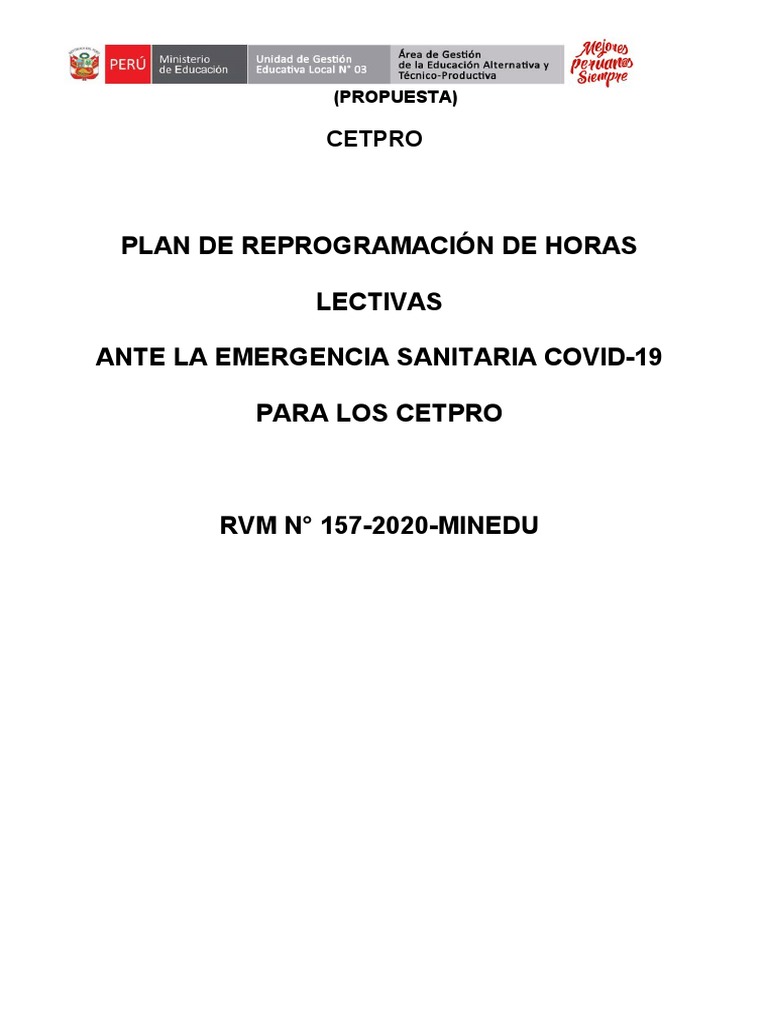 01-09 Formato RVM 157 - Plan de Reprogramacion de Horas Lectivas Cetpro | PDF | Modificación de ...
