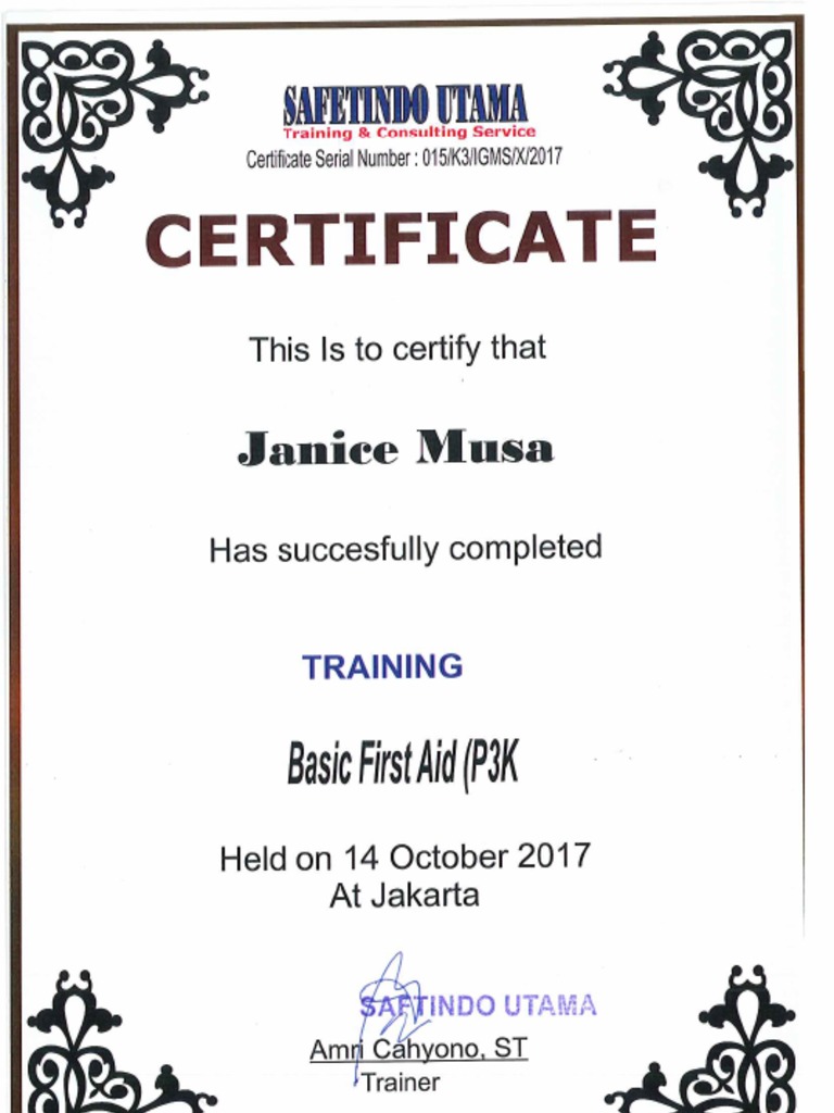 Sertifikat Training First Aid - All | PDF