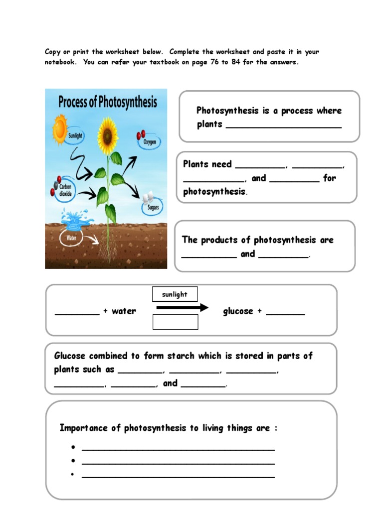 Photosynthesis Worksheet for Students | PDF