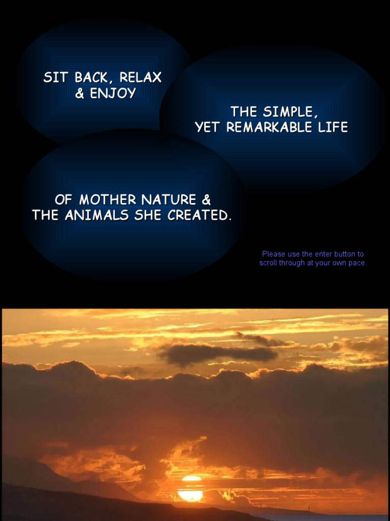 The Simple Life | PDF