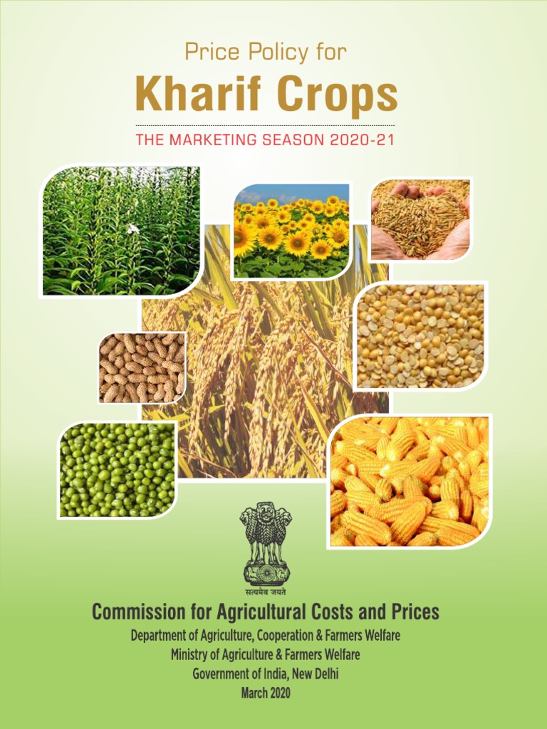 Kharif Crops | PDF | Rice | Legume