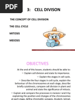 Cell Cycle Numericals NCERT | PDF
