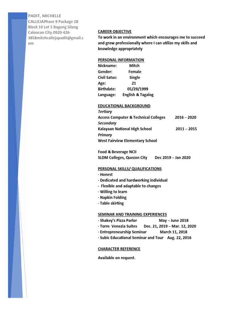 Mich Resume | PDF