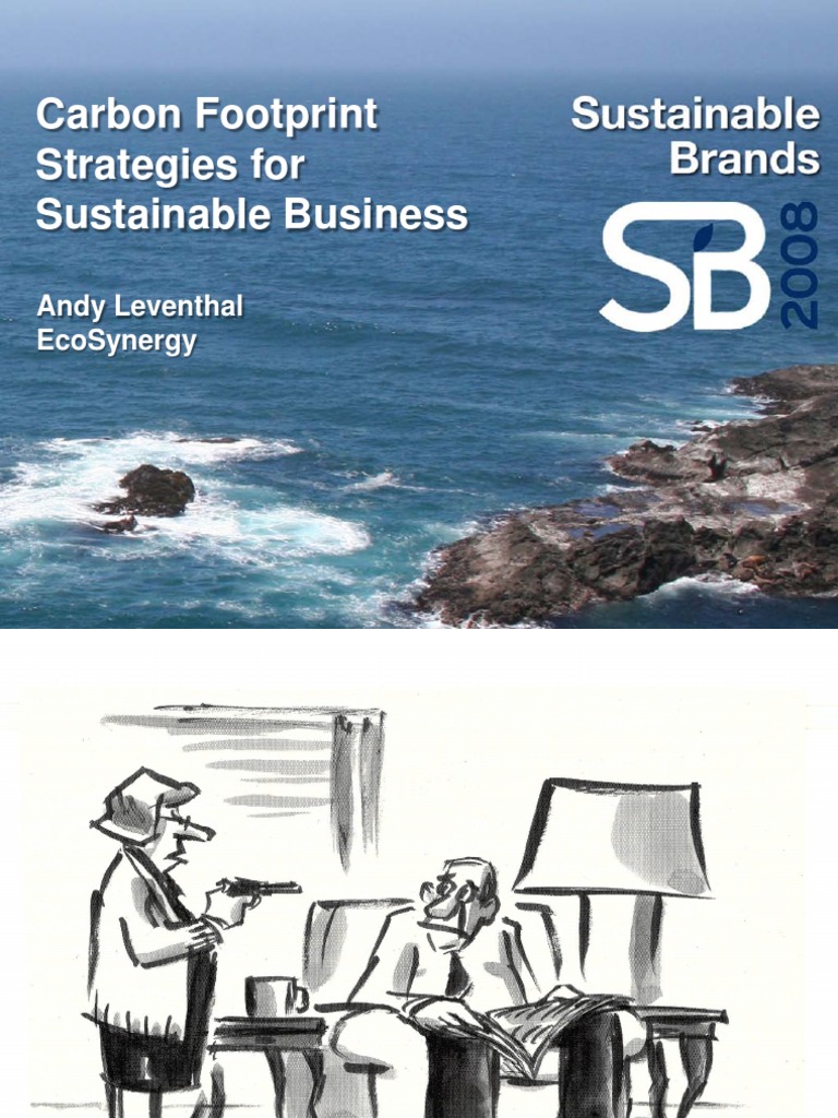 Carbon Footprint Business Strategies | PDF | Synthetic Fiber | Fibers