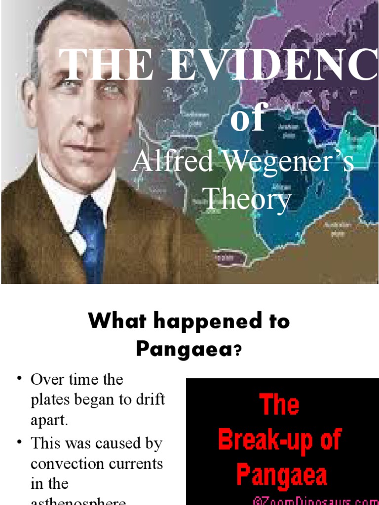 The Evidences: Alfred Wegener's Theory | PDF | Plate Tectonics | Continent