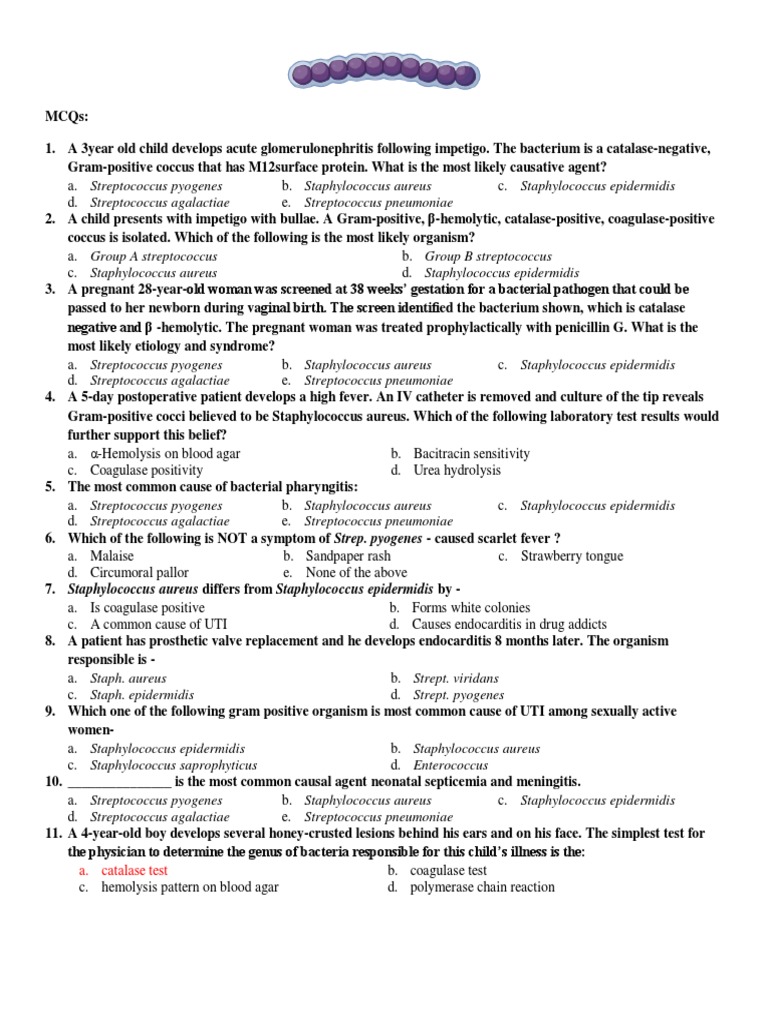 Medical Micro MCQs | PDF | Streptococcus | Mycobacterium