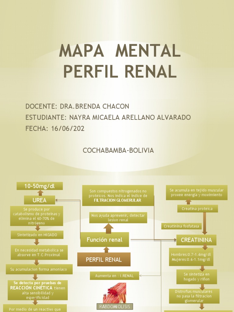 Mapa de Perfil Renal | PDF | Creatinina | Riñón