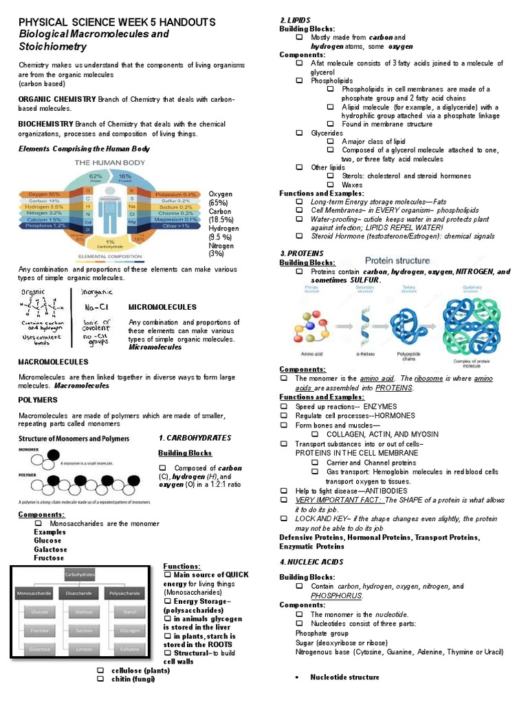 Biological Macromolecules and Stoichiometry: Physical Science Week 5 ...