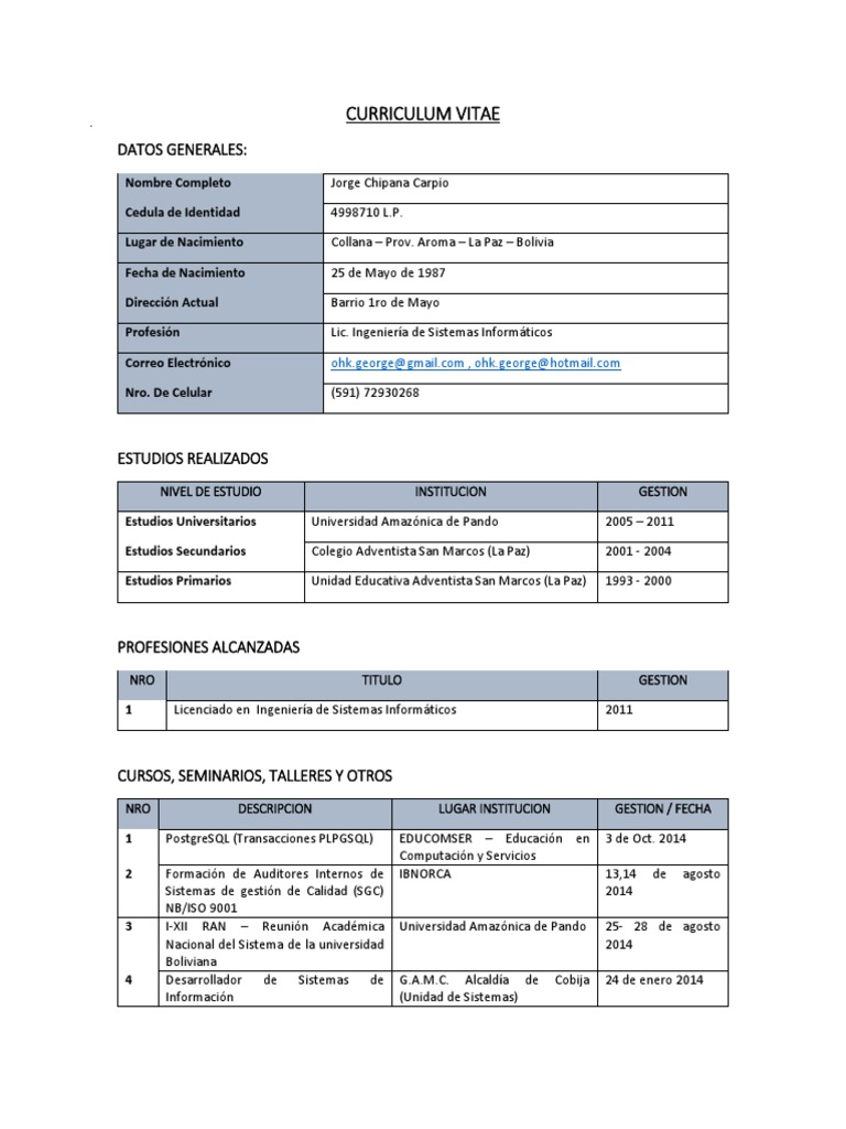 Curriculum Vitae Jorge | PDF | Universidad | Informática