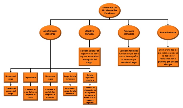 Esquema Manual de Funciones | PDF | Business