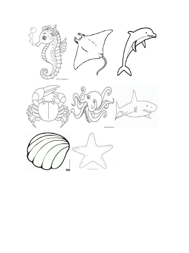Animales Acuaticos para Colorear | PDF