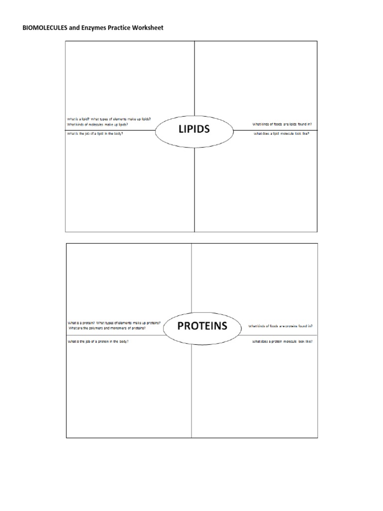 Biomolecules and Enzymes Worksheet | PDF