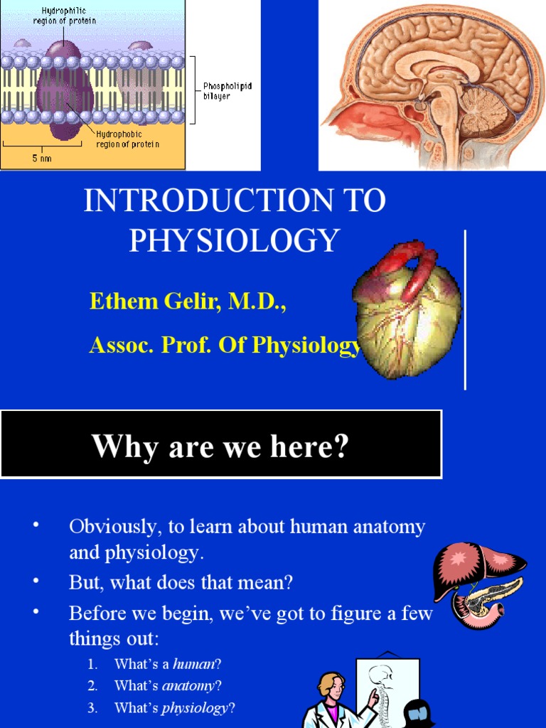 Introduction to Physiology: An Overview of the Human Body's Structures ...