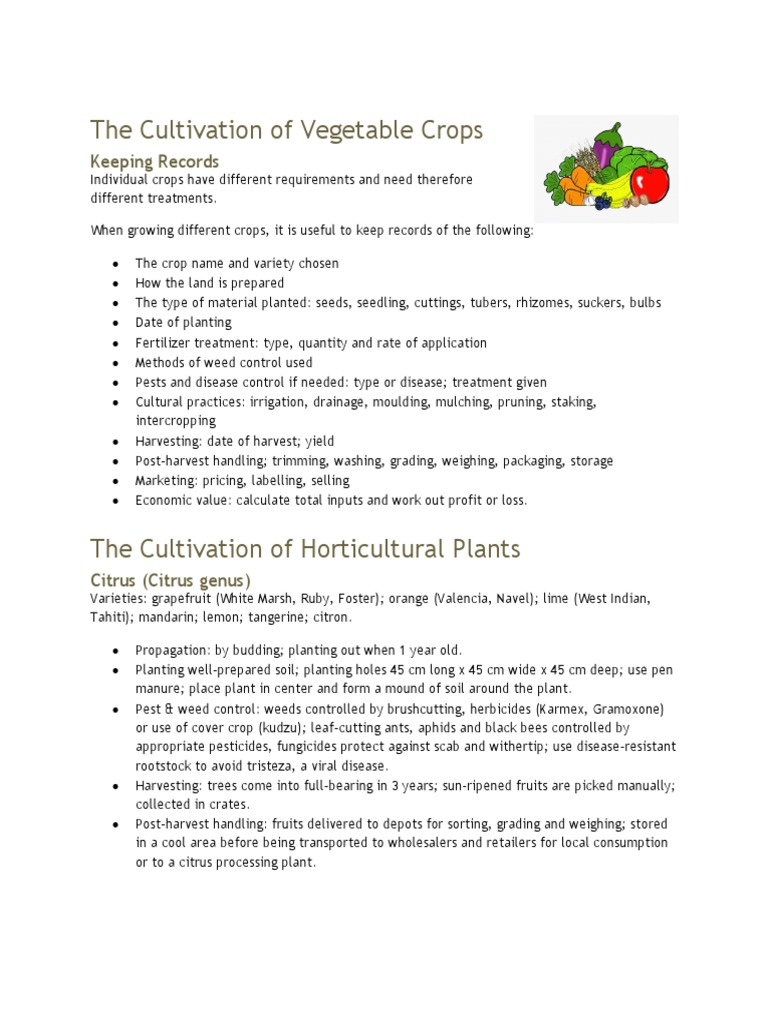 Vegetable Crop Cultivation Guide | PDF | Avocado | Trees