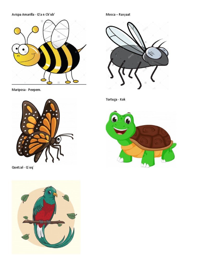 Animales en Qeqchi | PDF
