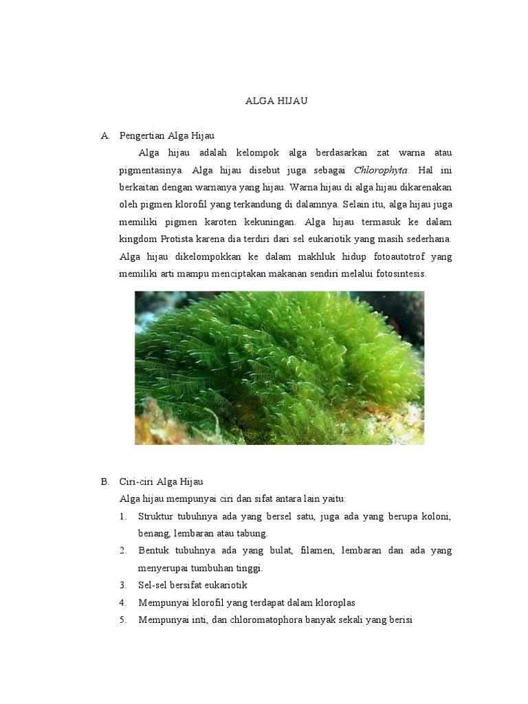 Alga Hijau | PDF | Sains & Matematika