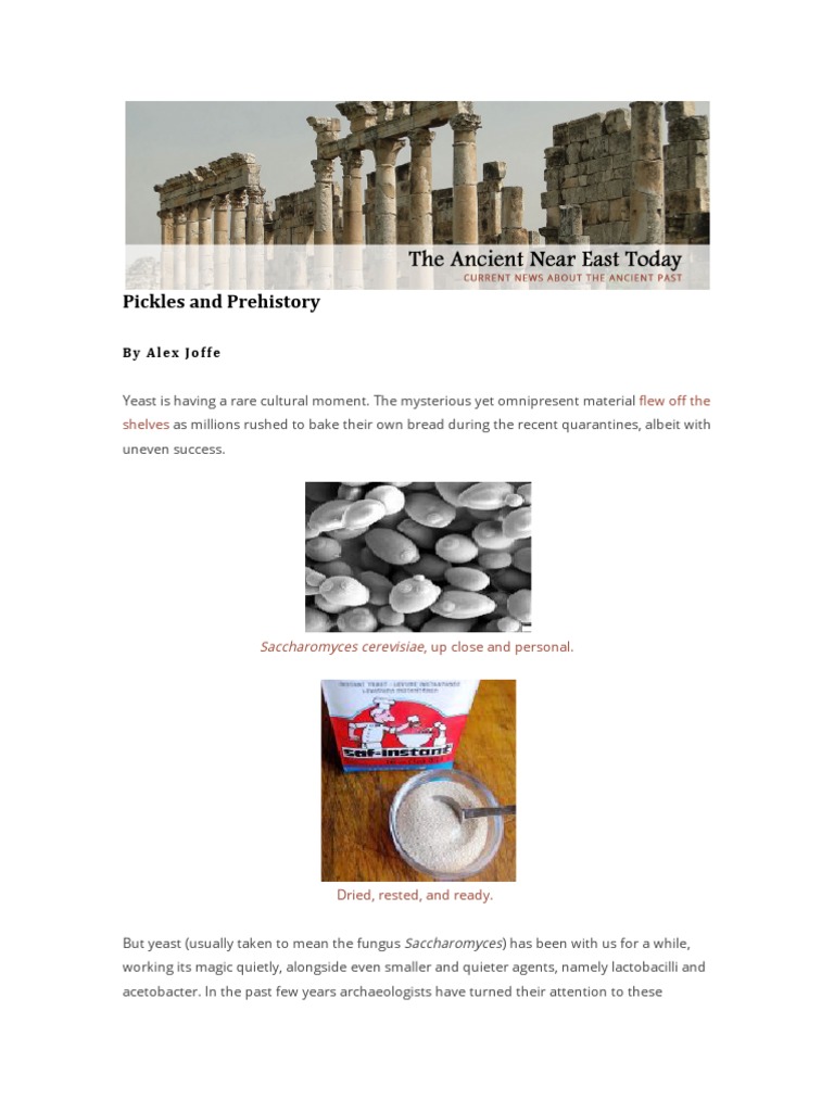 Ancient Pickles: Exploring the Possibility of Fermented Foods and Food ...