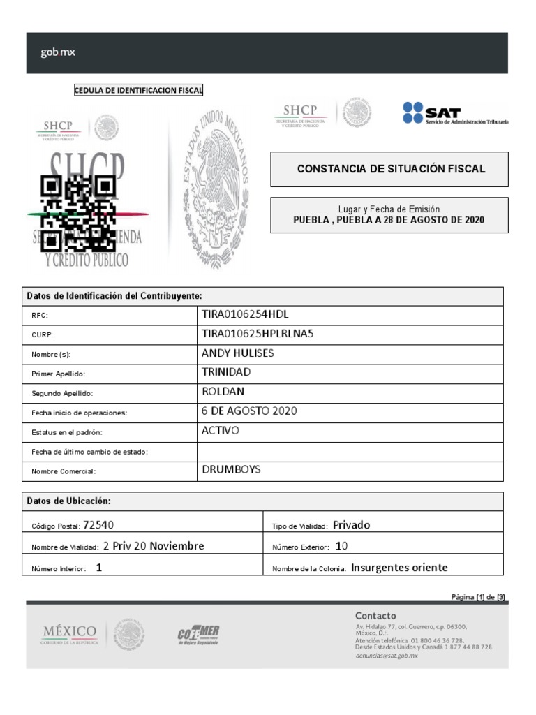 Cedula de Identificación Fiscal-Editable | PDF | Gobierno | Business