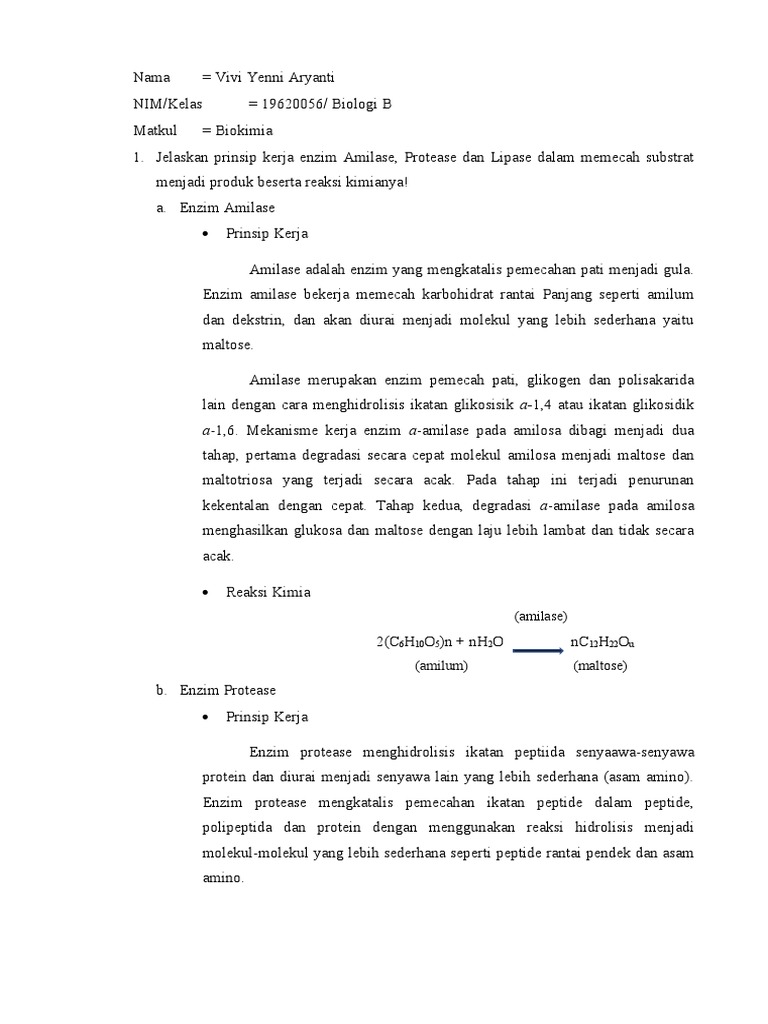 Biokimia Enzim | PDF