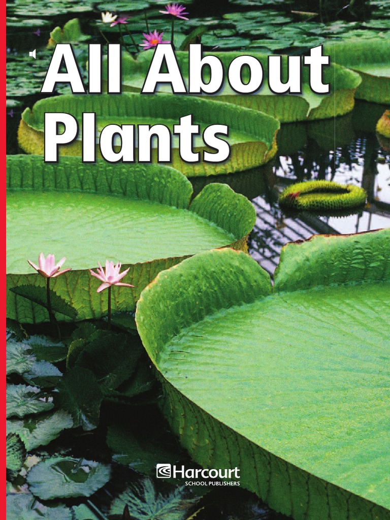All About Plants | PDF | Seed | Leaf