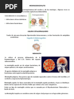 Acrodisostosis | PDF | Clavo (anatomía) | Ciencias de la Salud