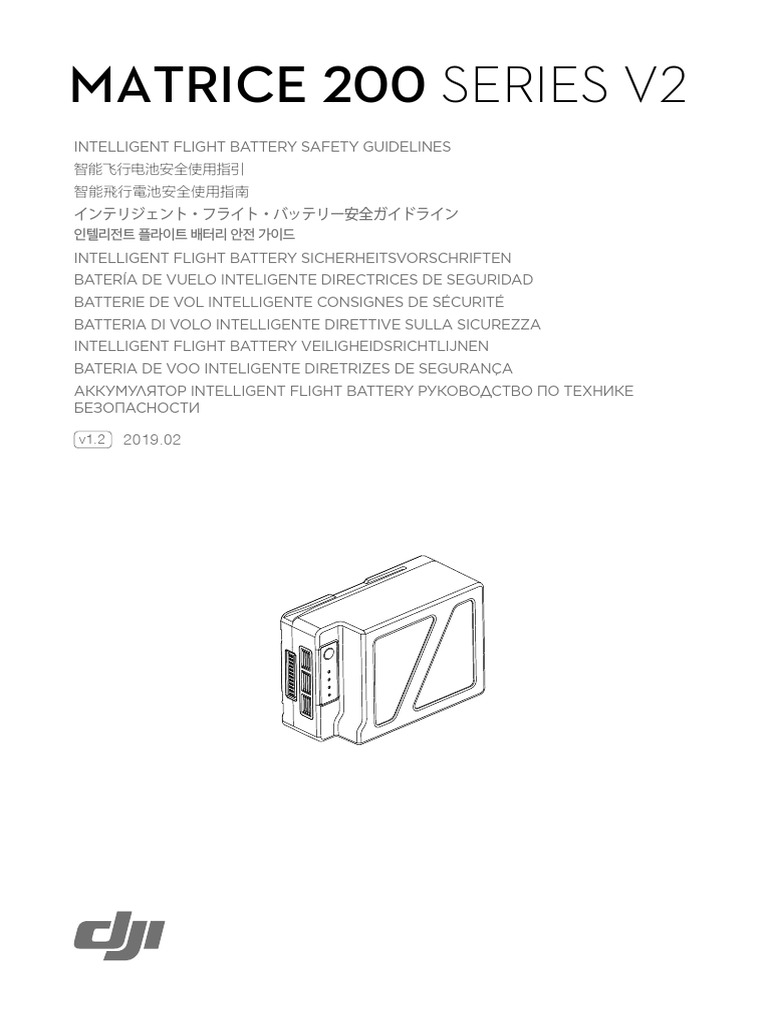 Matrice 200 Series V2 | PDF | Battery Charger | Electricity