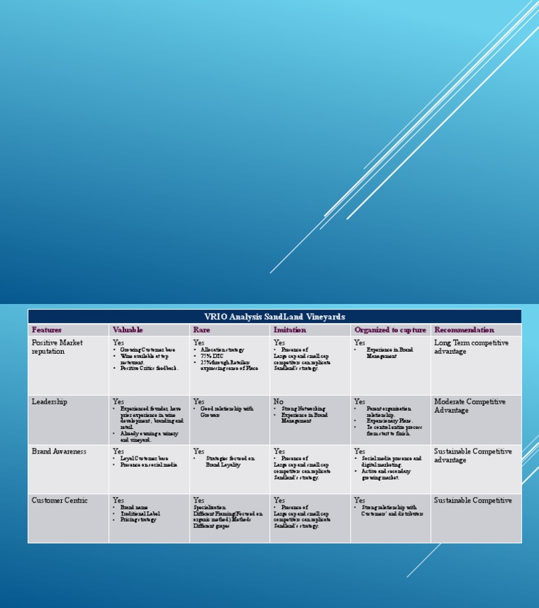 Vrio - Vineyards Case Study | PDF | Brand | Retail