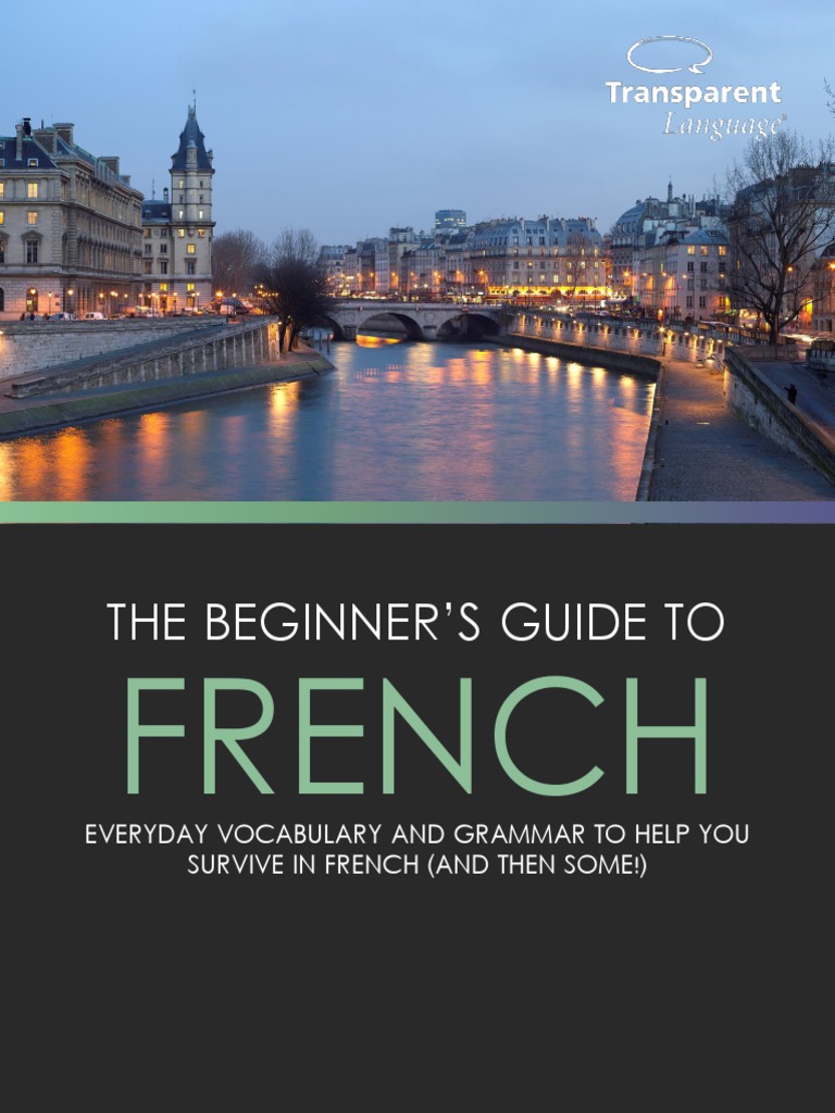 Beginners Guide To French PDF | PDF | Grammatical Conjugation ...