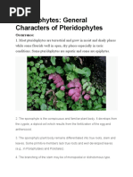 Nephrolepis Morphology and Life Cycle | PDF | Leaf | Tissue (Biology)