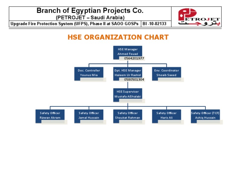 HSE Team Structure for UFPS Project | PDF
