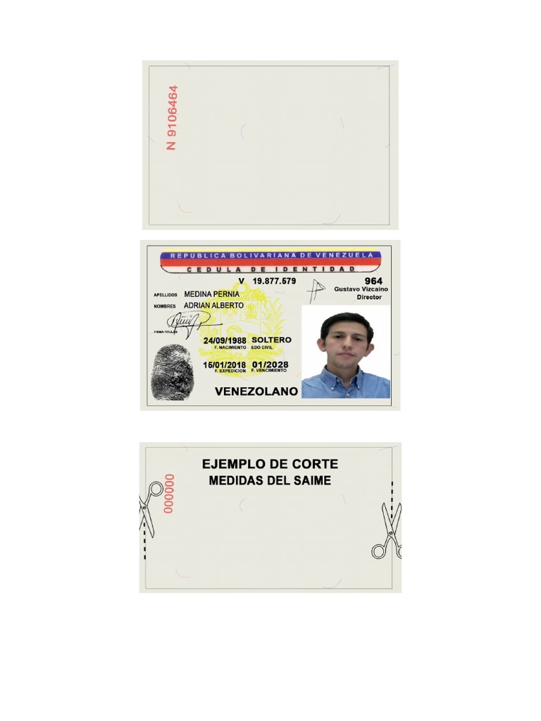 Medidas de La Cedula para Impresion Alberto Medina Peru | PDF