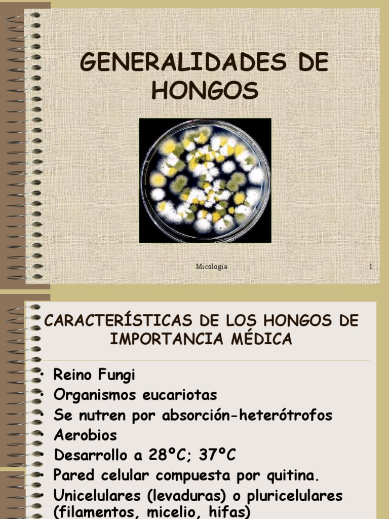 HONGOS. GENERALIDADES Micología PDF | PDF | Hongo | Sistema inmune