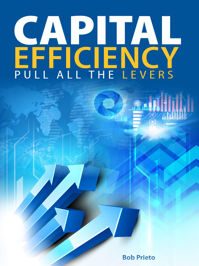 Capital Efficiency | PDF | Cost Of Capital | Risk
