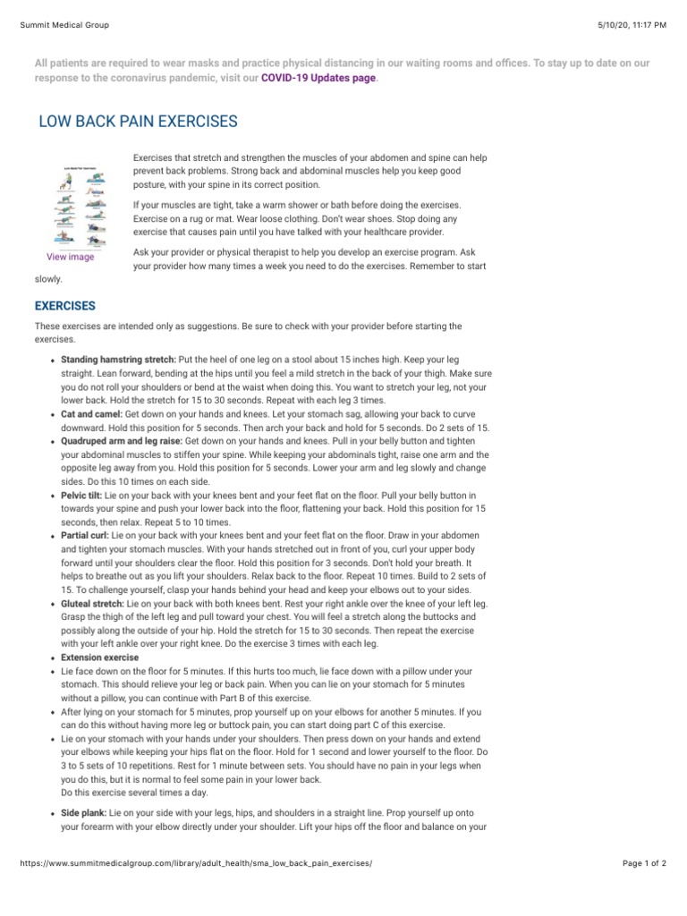Low Back Pain Exercises | PDF | Abdomen | Elbow
