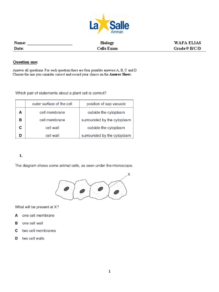 Grade 9 Cells Exam Questions | PDF | Science & Mathematics