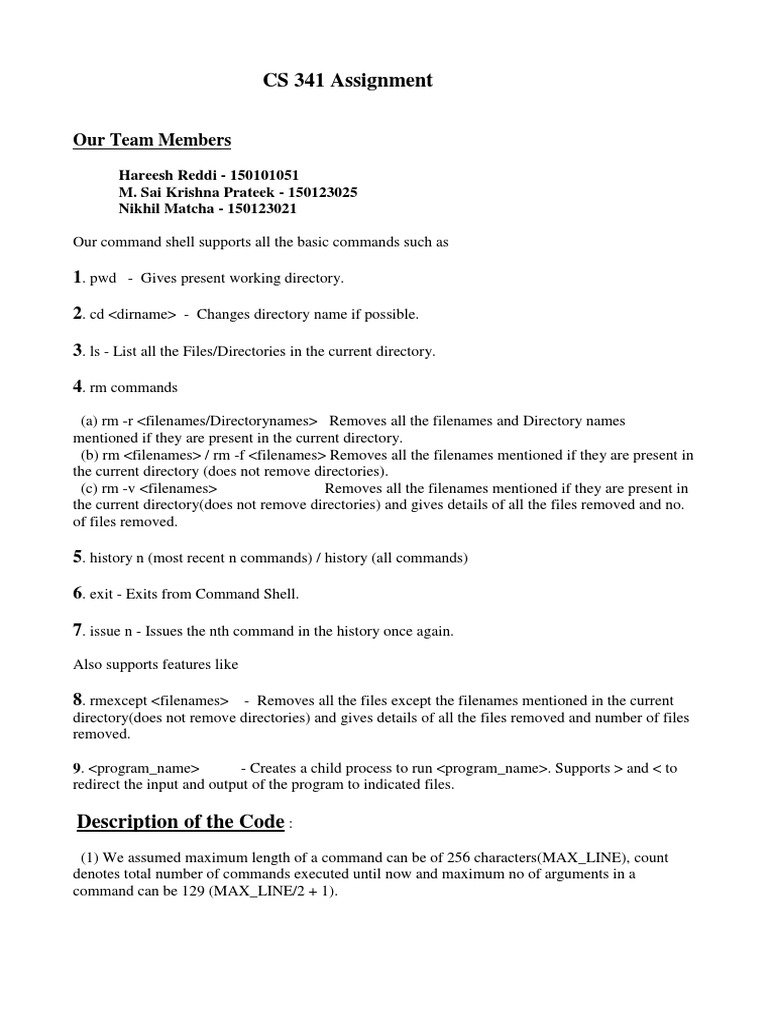 CS 341 Assignment: Our Team Members | Download Free PDF | Filename | Computer File