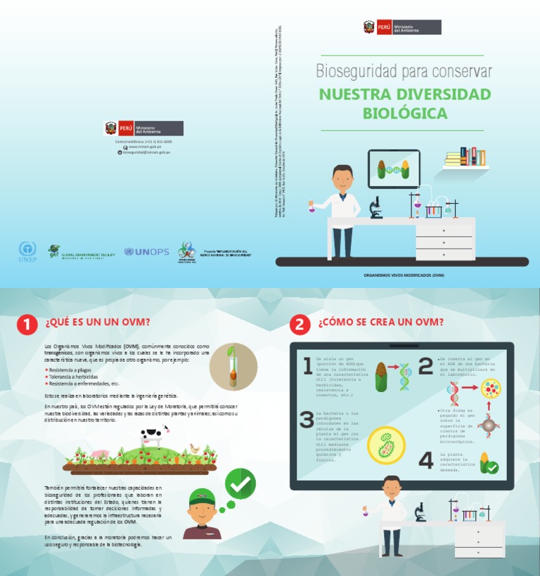 4 Que Es Un OVM | PDF | Organismos | Organismo genéticamente modificado