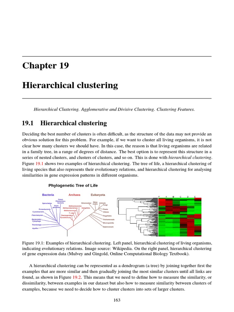 Hierarchical Clustering | PDF | Cluster Analysis | Algorithms